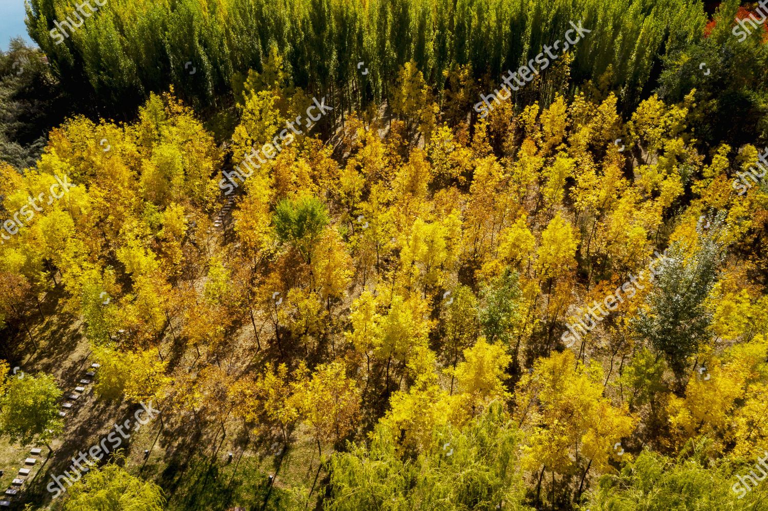Beauty Lushui Bay Ecotourism Resort Editorial Stock Photo - Stock Image ...