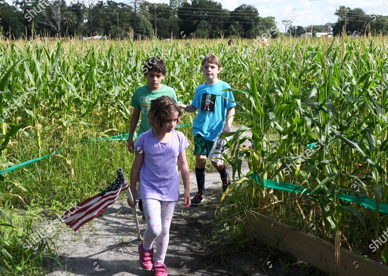 Children Navigating Annual Fall Corn Maze Editorial Stock Photo - Stock ...