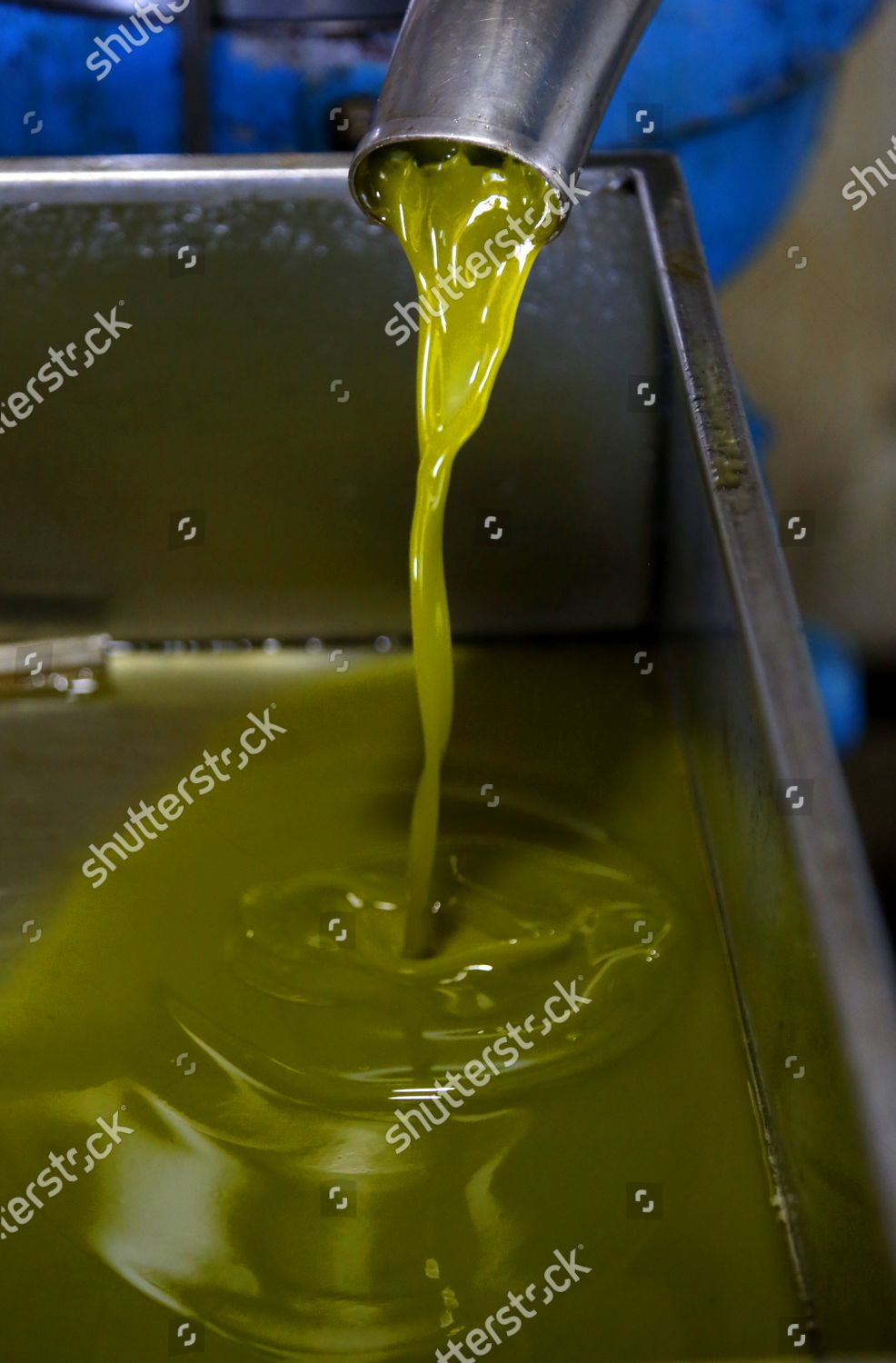 Olive Oil Runs Pipe After Being Editorial Stock Photo - Stock Image ...