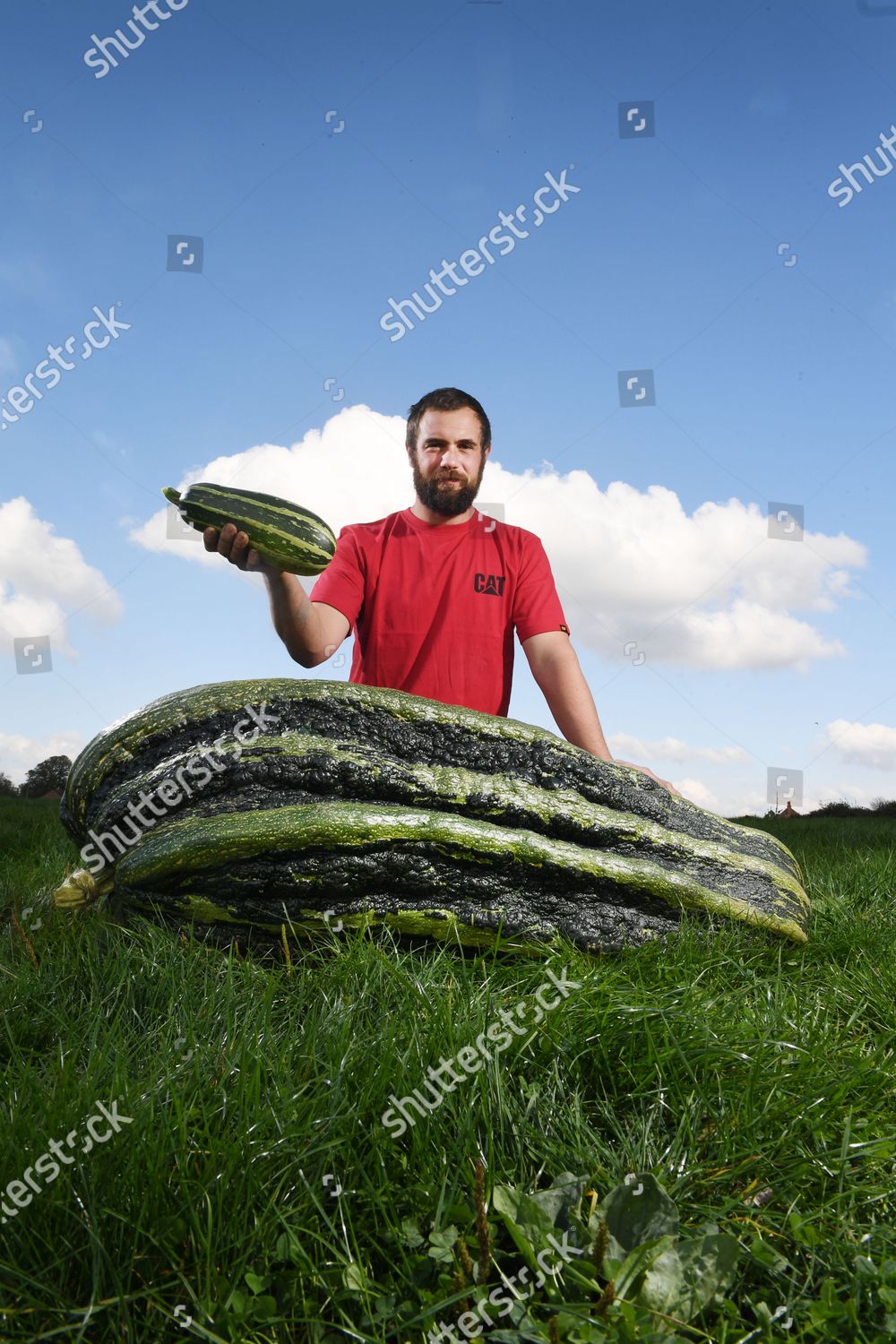 Mark Baggs Massive Marrow a Farmer Editorial Stock Photo - Stock Image ...