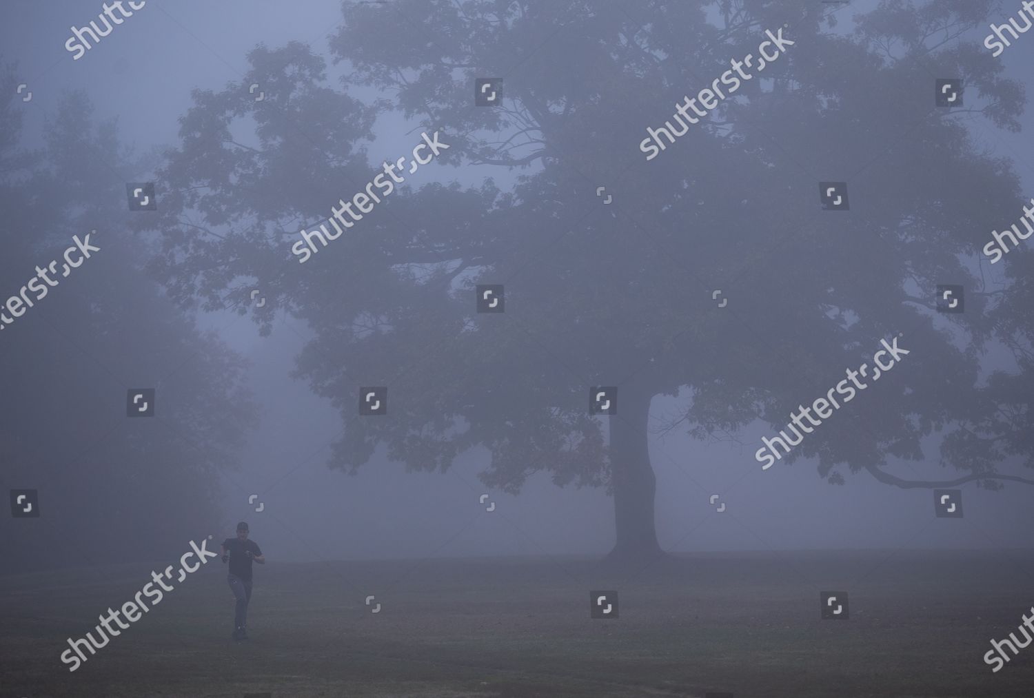 Man Runs Through Fog Maudslay State Editorial Stock Photo - Stock Image ...