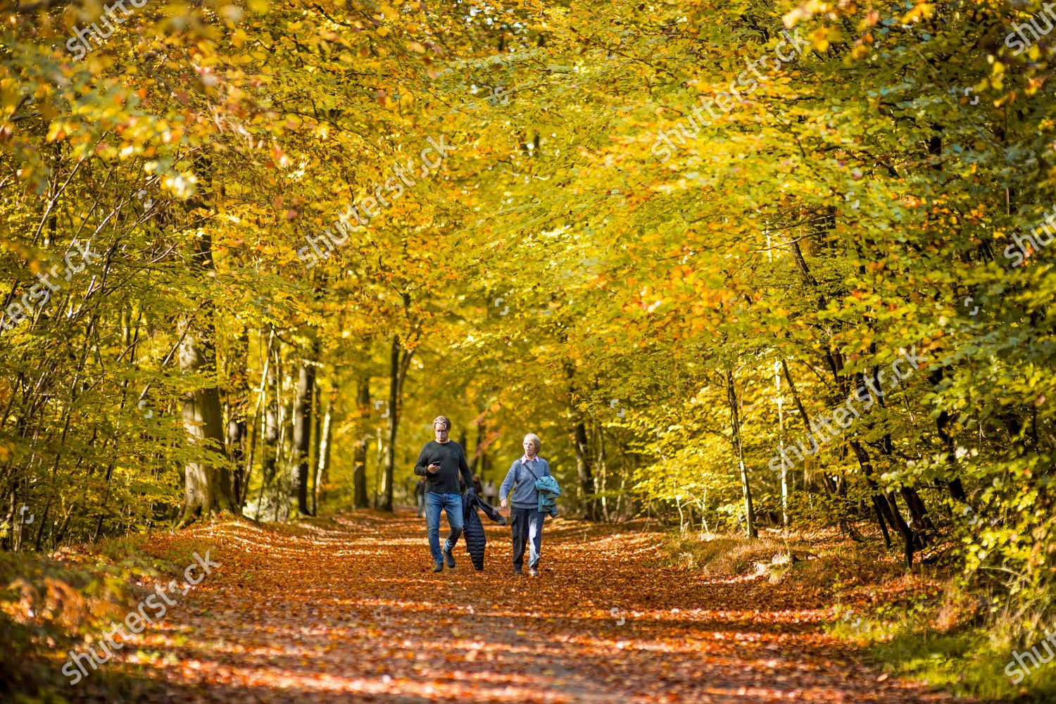 Members Public Walk Amongst Autumnal Colours Editorial Stock Photo ...