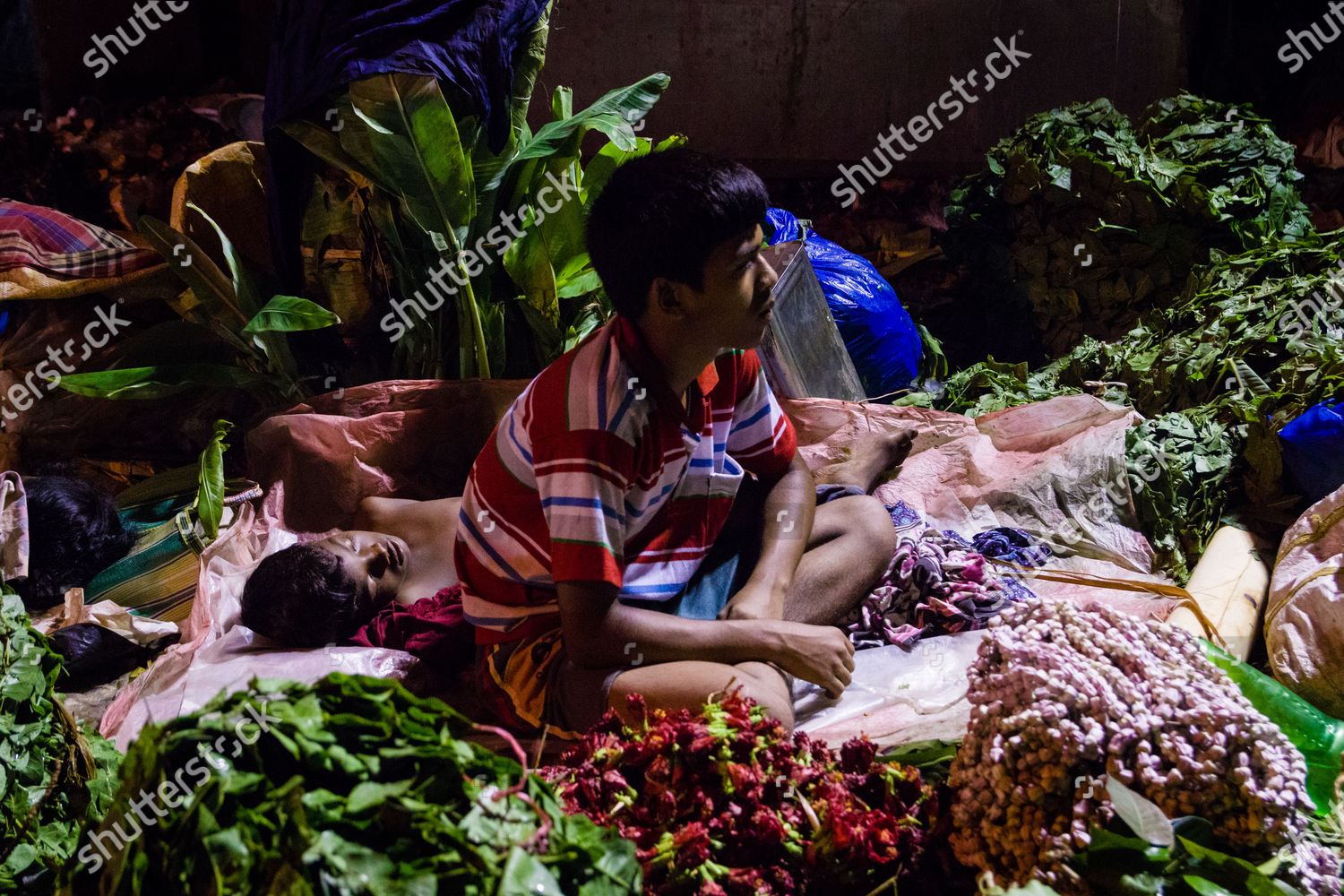 Flower Market Scenes Howrah Mullick Ghat Editorial Stock Photo - Stock ...