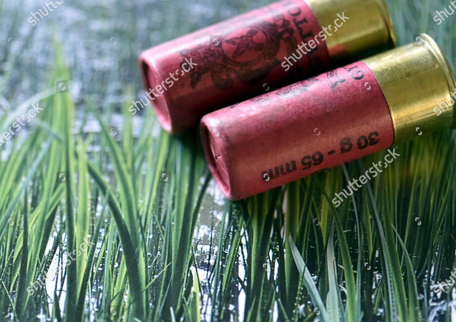 Lead Shots Shotgun Cartridges Helsinki Sept8th Editorial Stock Photo ...