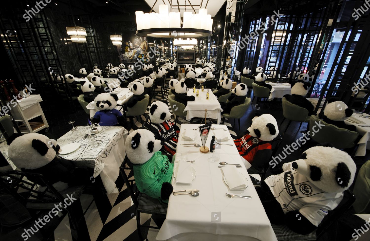 Stuffed Panda Bears Sit Set Tables Editorial Stock Photo - Stock Image ...