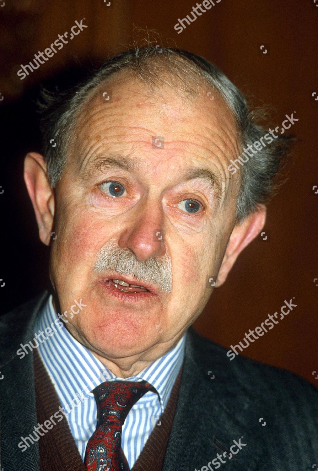 Duke Norfolk 17th Duke Earl Marshal Editorial Stock Photo - Stock Image ...