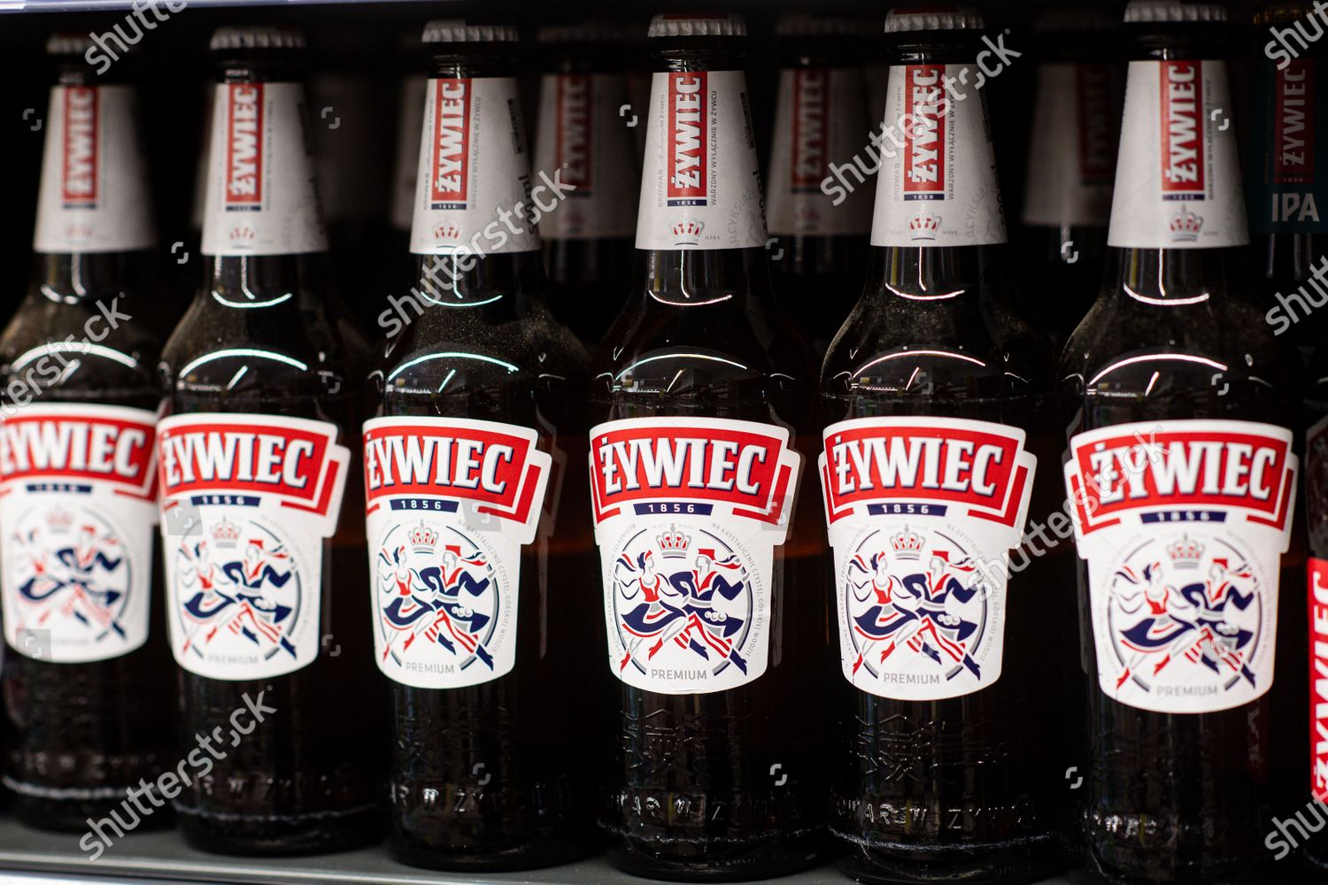 Zywiec Beer Seen Grocery Store Editorial Stock Photo - Stock Image ...