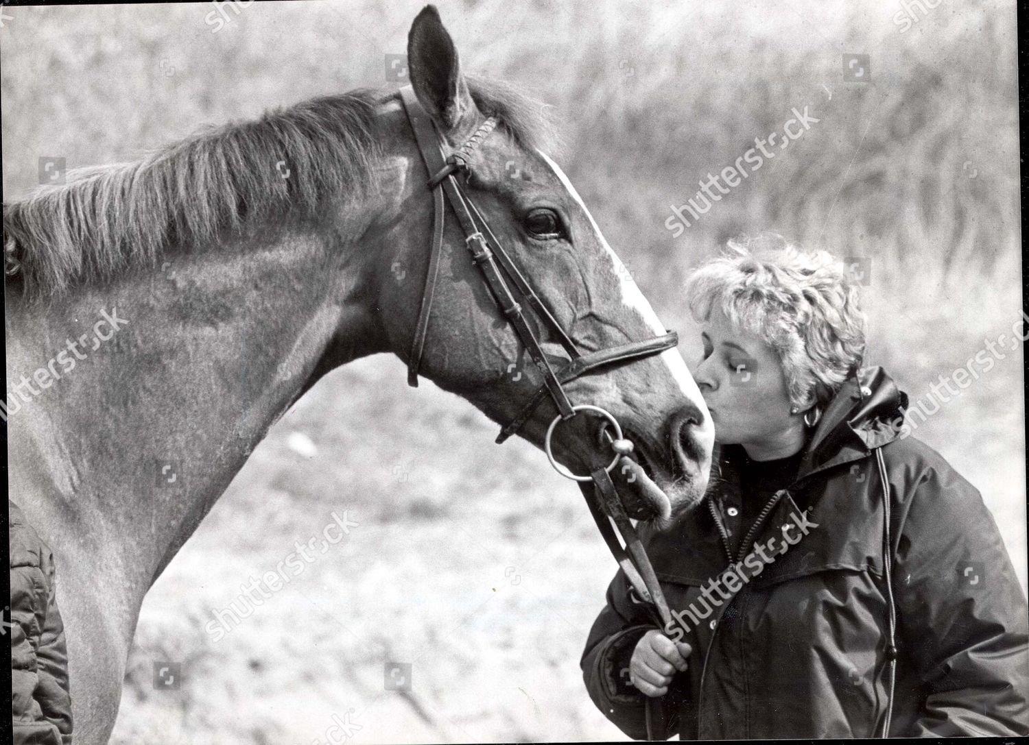 1984 Racehorse Trainer Jenny Pitman Kissing Editorial Stock Photo ...