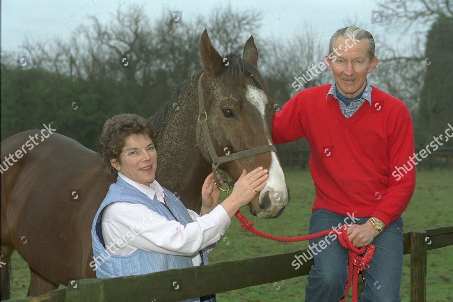 Former Bbc Horse Racing Commentator Julian Editorial Stock Photo ...