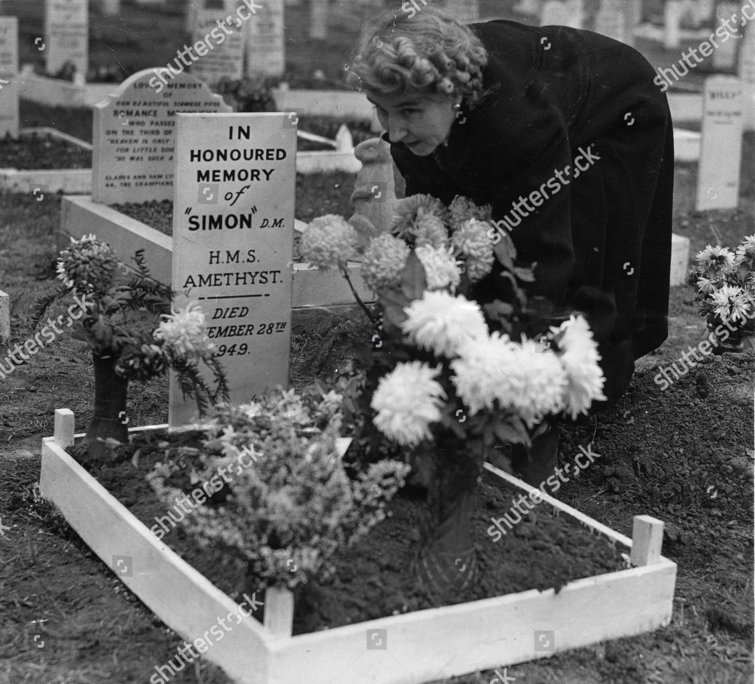 Grave Simon Ships Cat Hms Amethyst Editorial Stock Photo - Stock Image ...