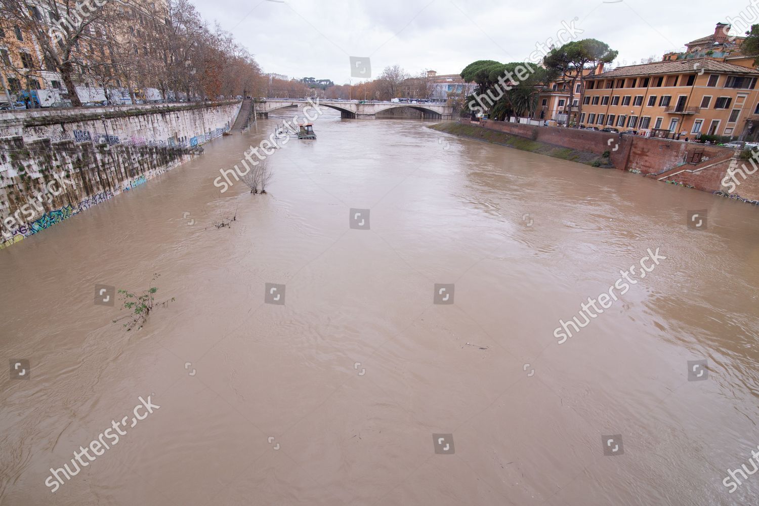 View Tiber Flood Cestio Bridge Editorial Stock Photo - Stock Image ...