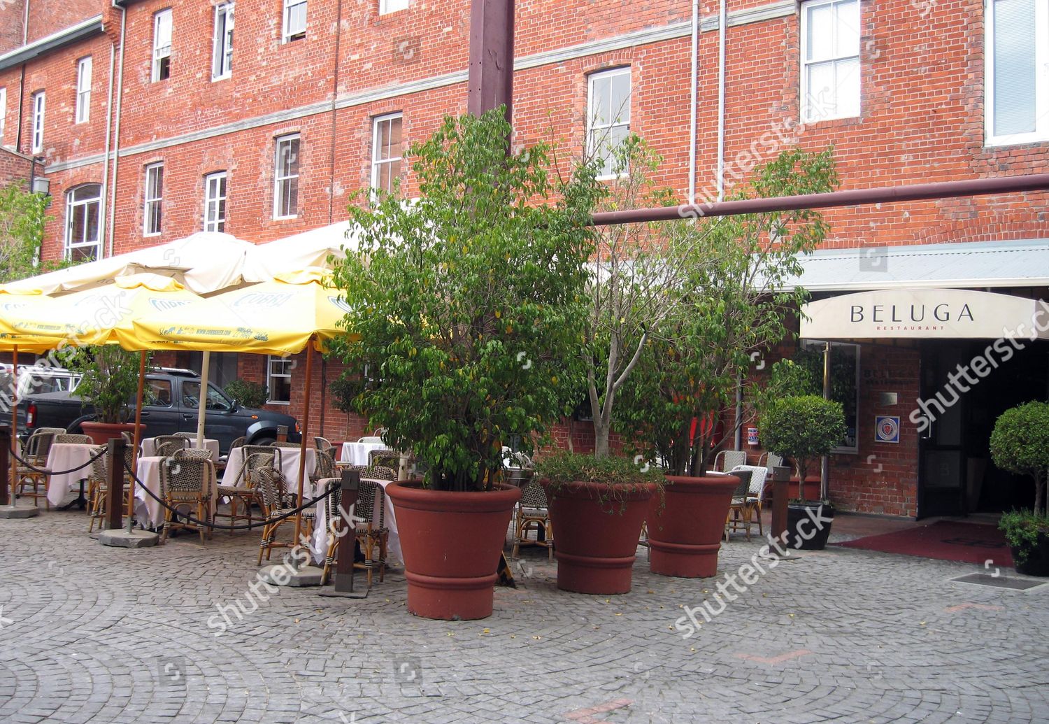 Beluga Restaurant Cape Town South Africa Editorial Stock Photo - Stock ...