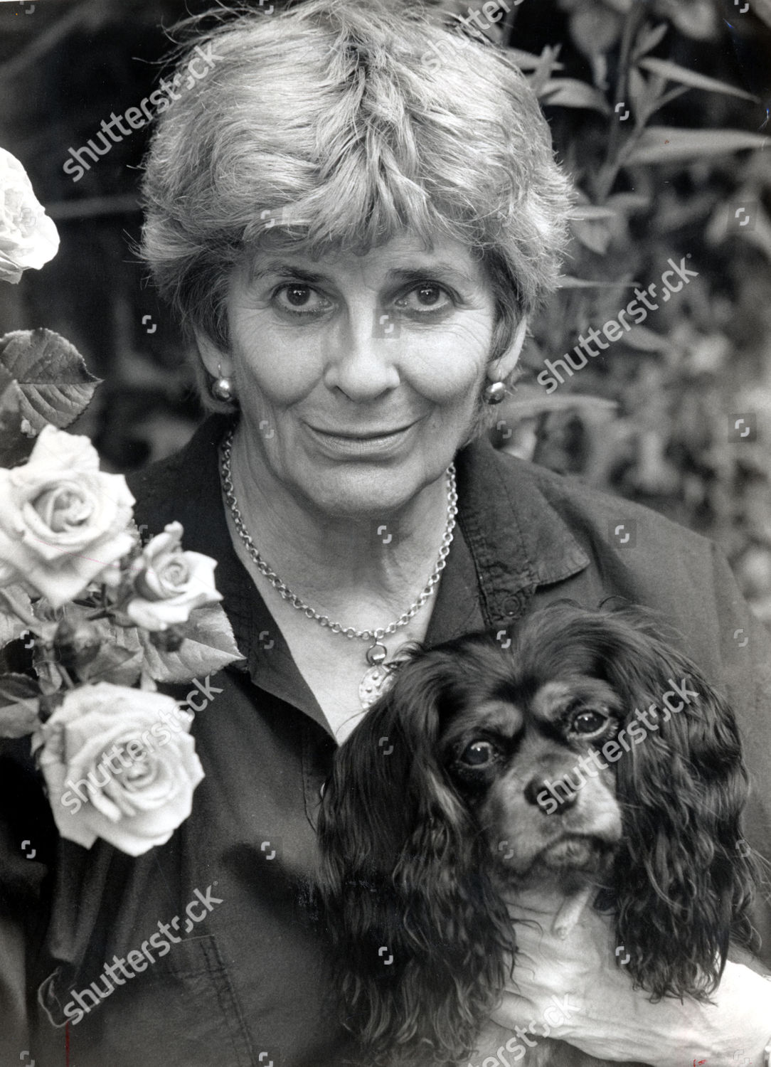 Elizabeth Jane Howard Author Her Pet Editorial Stock Photo - Stock ...