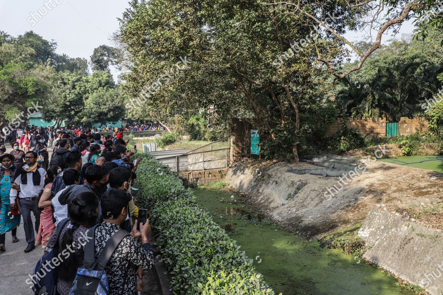 Tourists Gather Outside Pond Where Gharial Editorial Stock Photo ...