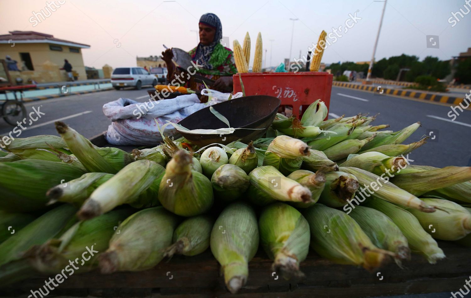Woman Sells Roasted Corn On Roadside Editorial Stock Photo - Stock ...