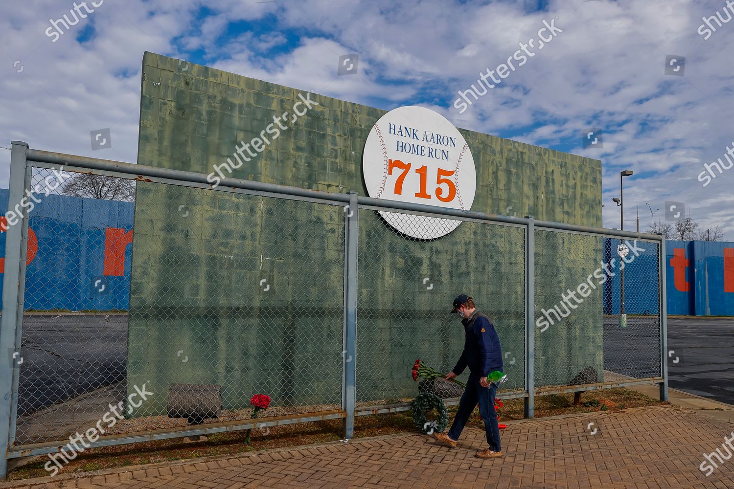 Andrew Mearns Leaves Flowers Location Where Editorial Stock Photo ...
