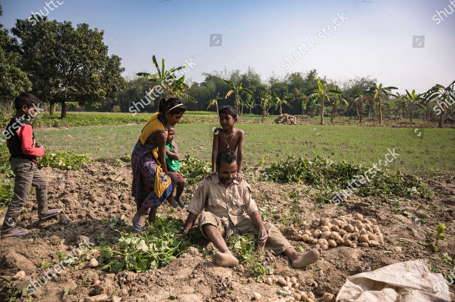 Farmer His Family Digging Cultivated Soil Editorial Stock Photo - Stock ...