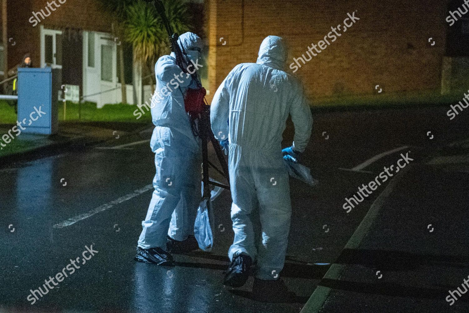 Forensic Investigators Carry Lighting Equipment Inside Editorial Stock ...