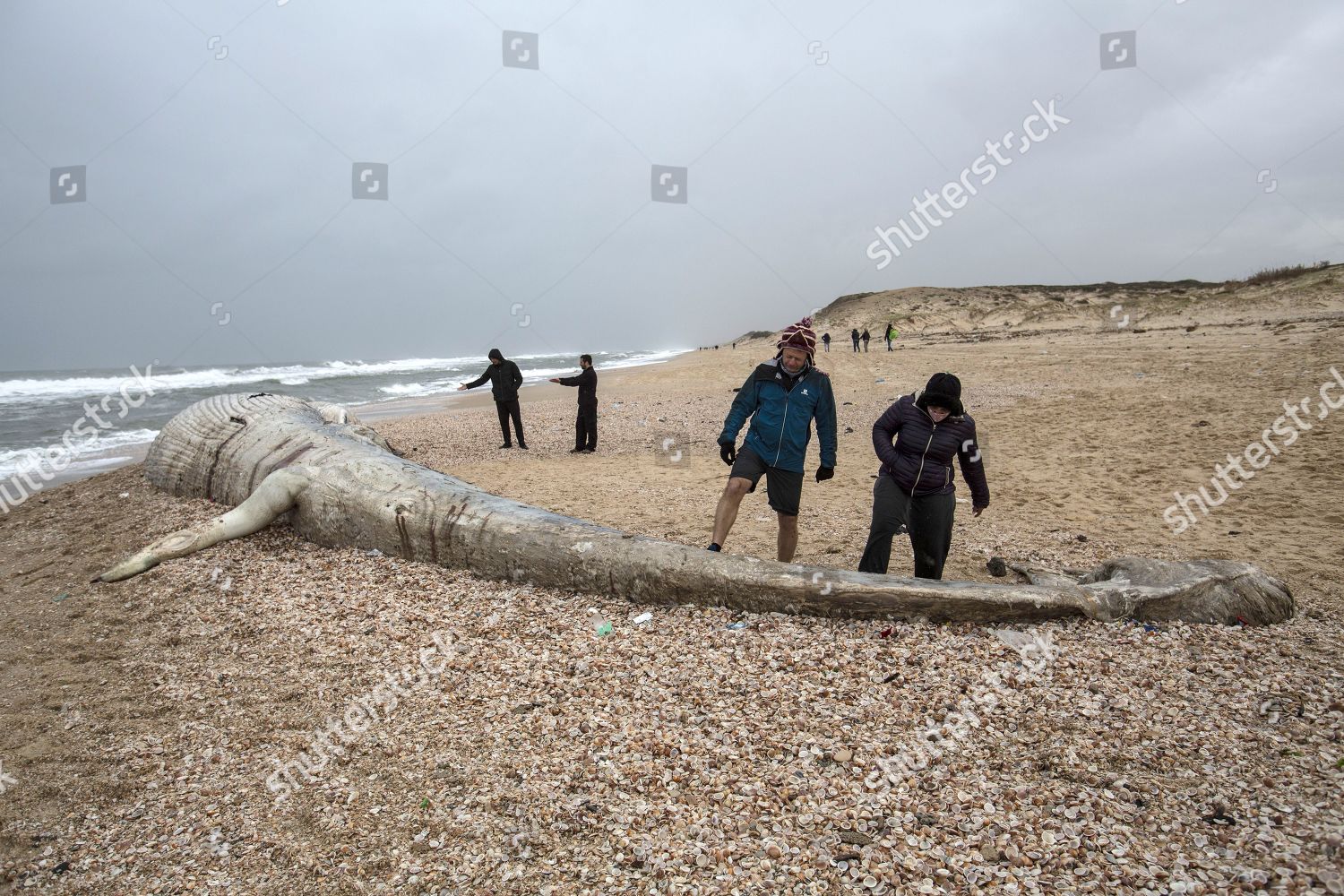 17 Meters About 55 Feet Long Editorial Stock Photo - Stock Image ...