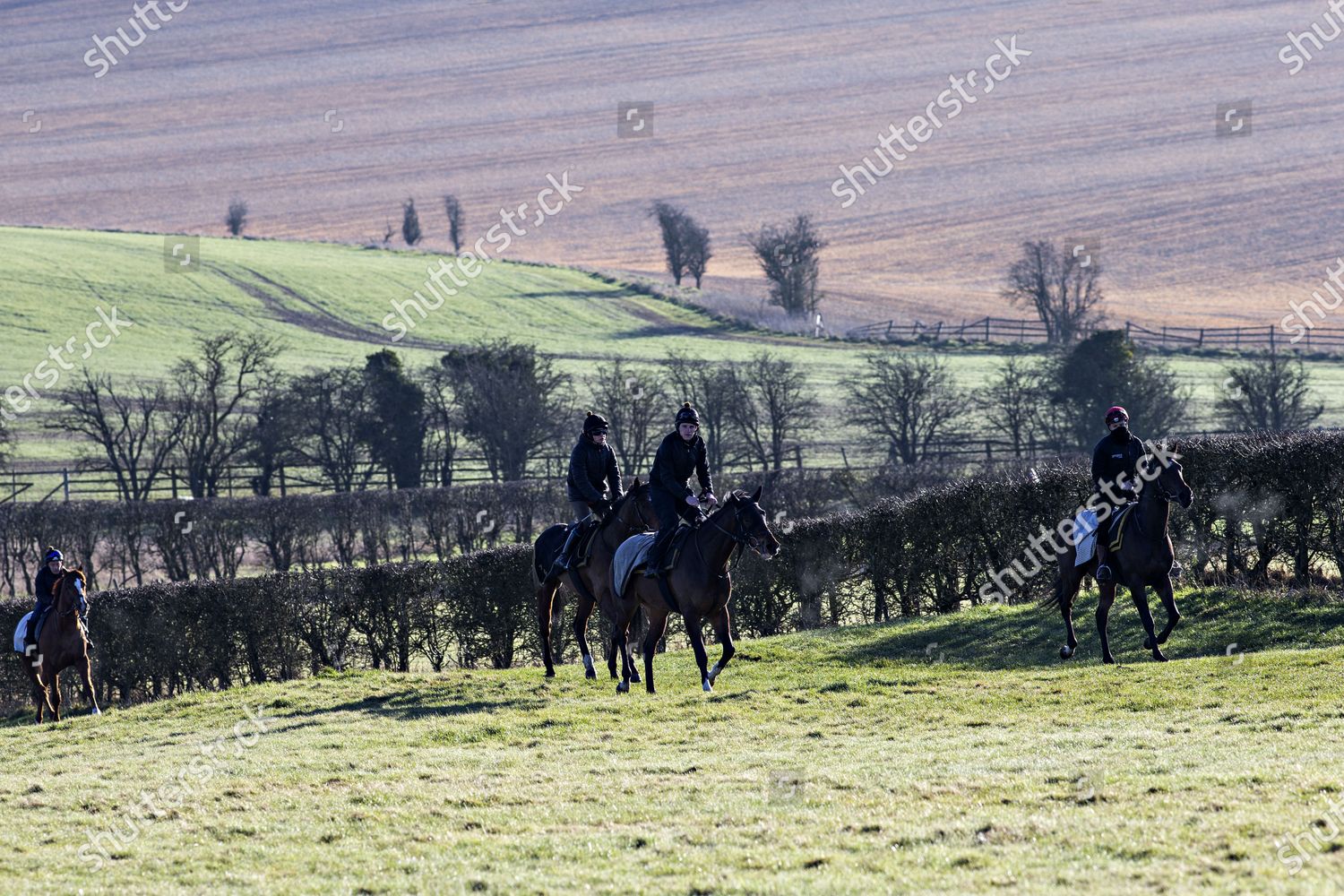 Race Horses Stables Trainer Andrew Balding Editorial Stock Photo ...