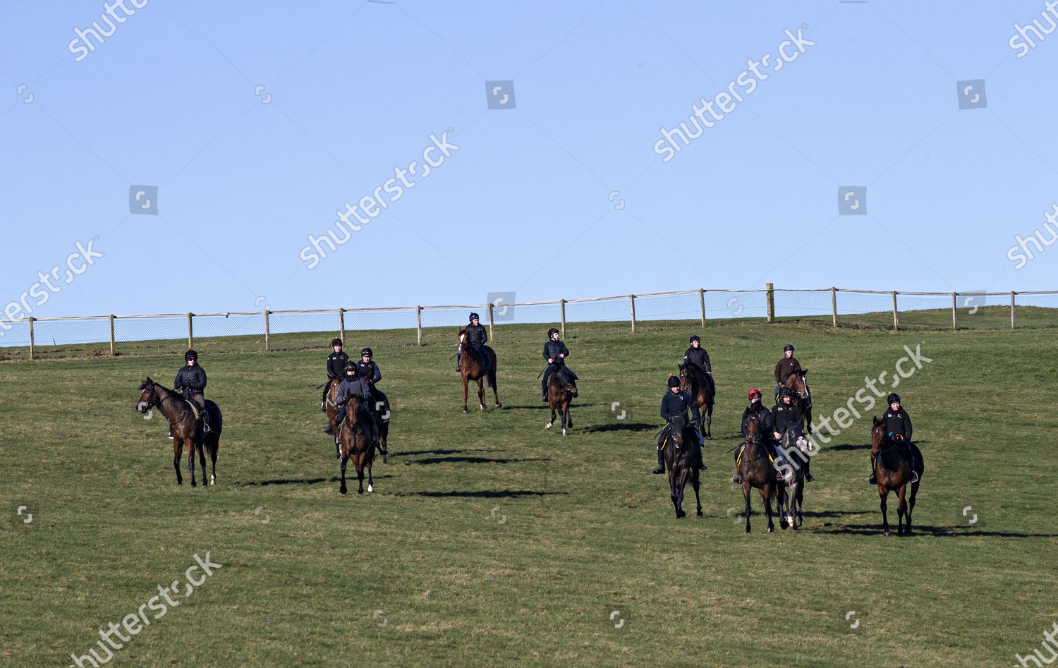 Race Horses Stables Trainer Andrew Balding Editorial Stock Photo ...