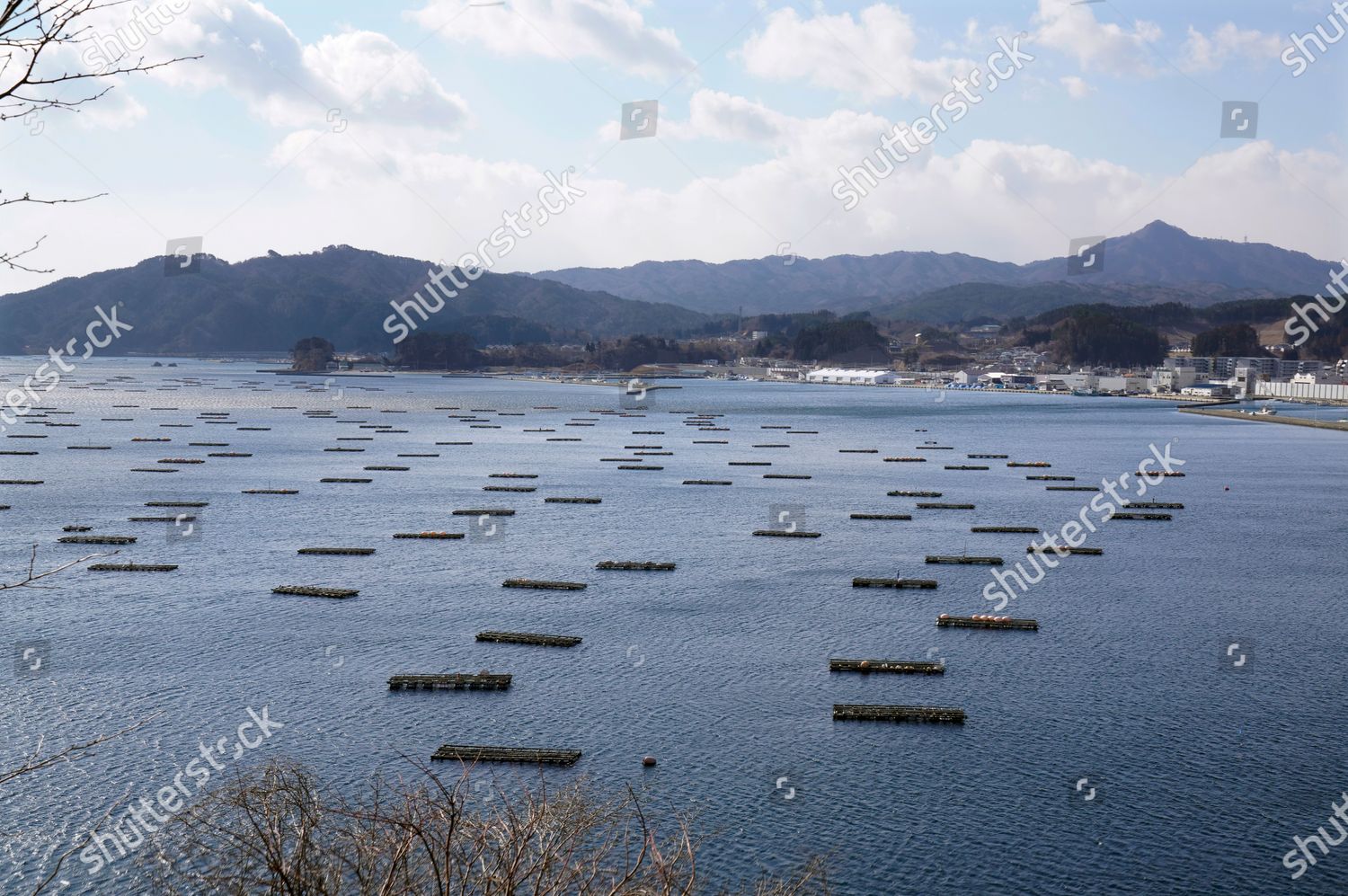 View Oyster Rafts Yamada Bay Yamada Editorial Stock Photo - Stock Image ...