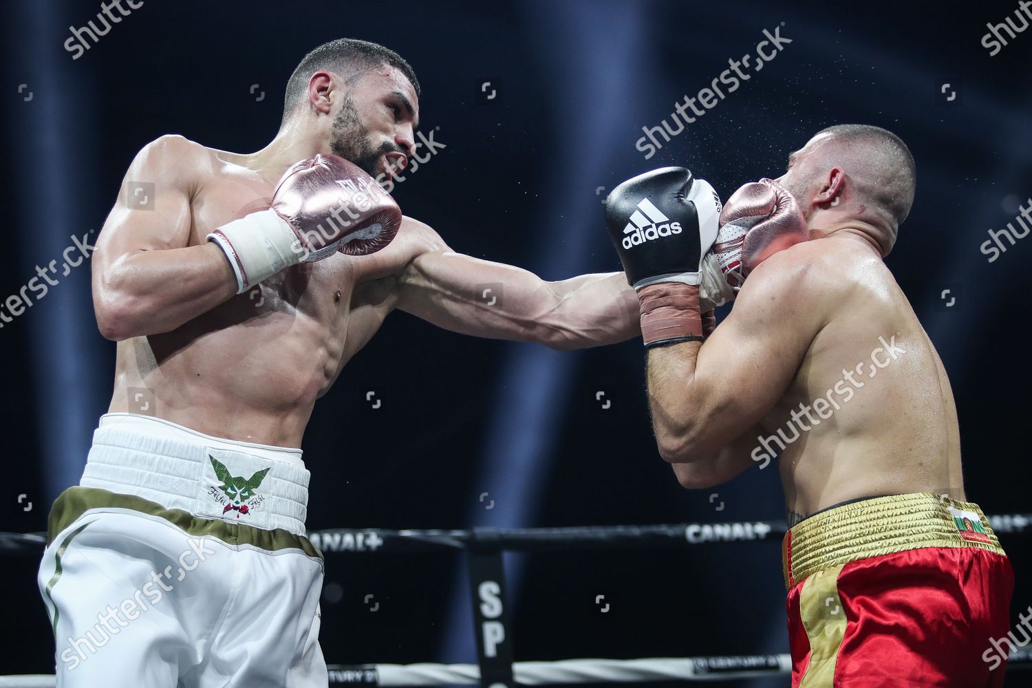 French Boxer Farrhad Saad Bulgarian Boxer Editorial Stock Photo - Stock ...