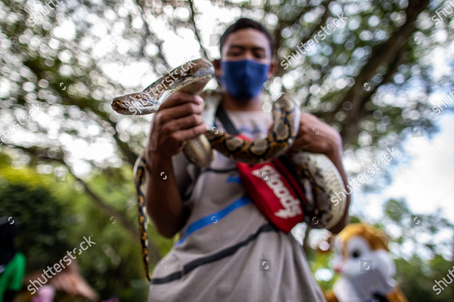Visitors Taking Selfie Snake Zoo Ragunan Editorial Stock Photo - Stock ...