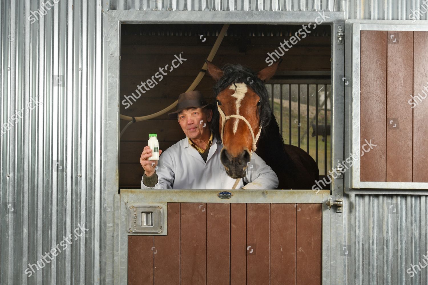 Frank Shellard His Mares Milk Farm Editorial Stock Photo - Stock Image ...