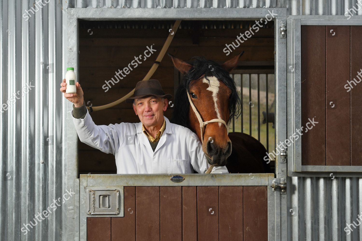 Frank Shellard His Mares Milk Farm Editorial Stock Photo - Stock Image ...