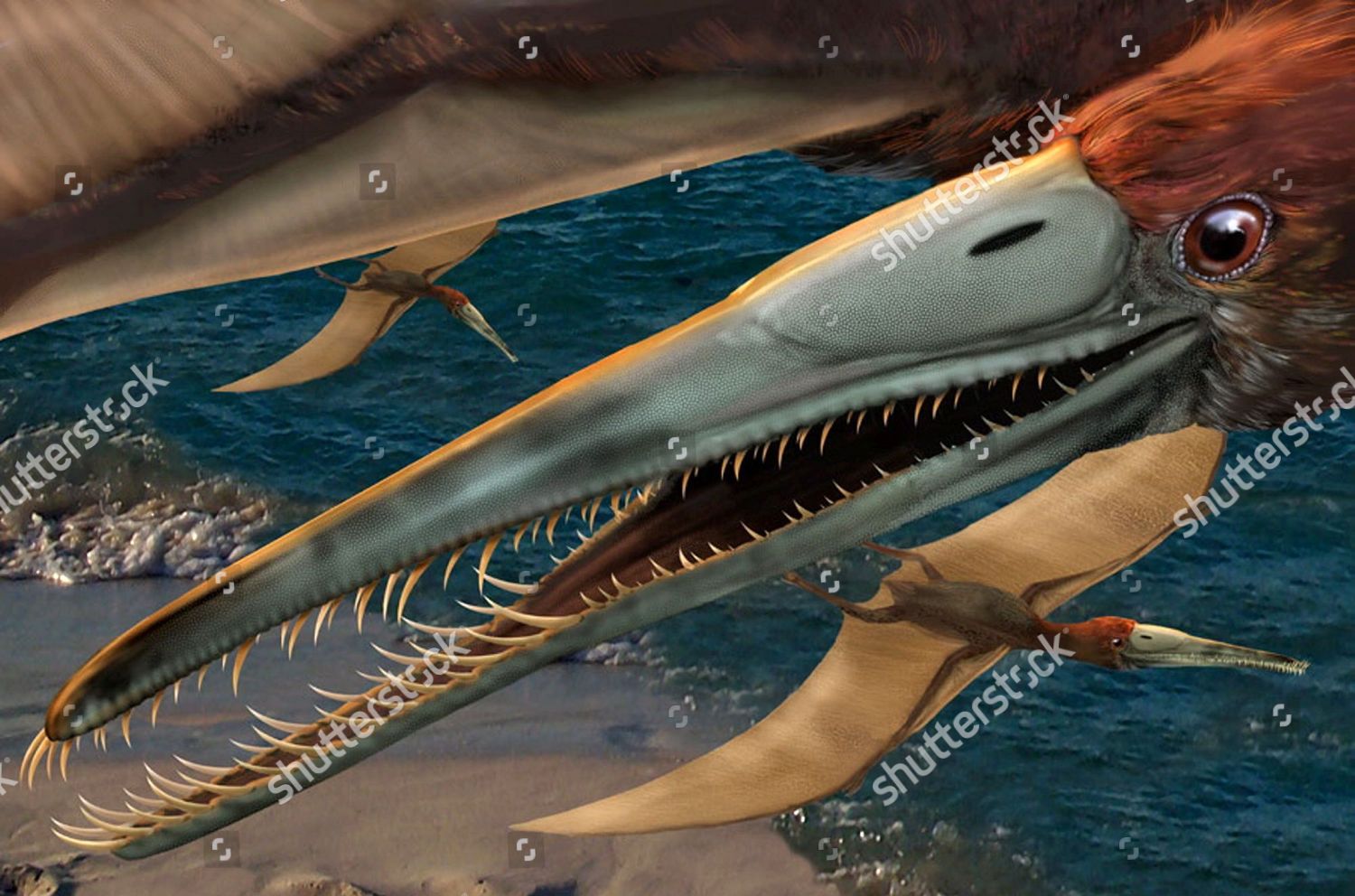 Artists Impression What New Flying Dinosaur Editorial Stock Photo ...