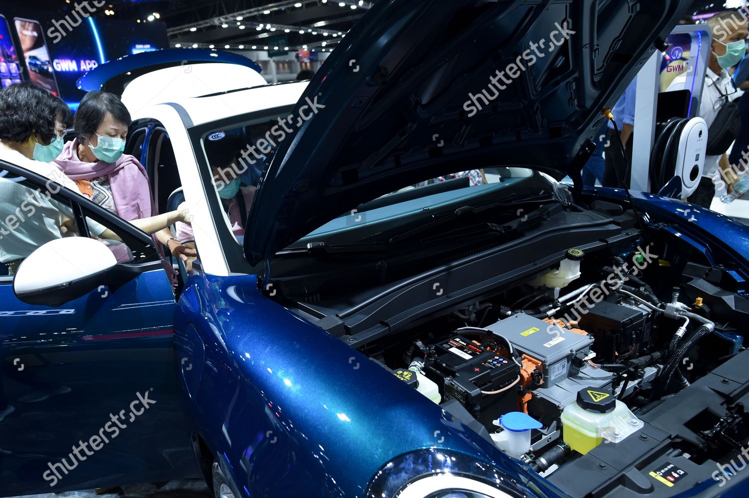 People Look Gwn Ora Good Cat Editorial Stock Photo - Stock Image ...