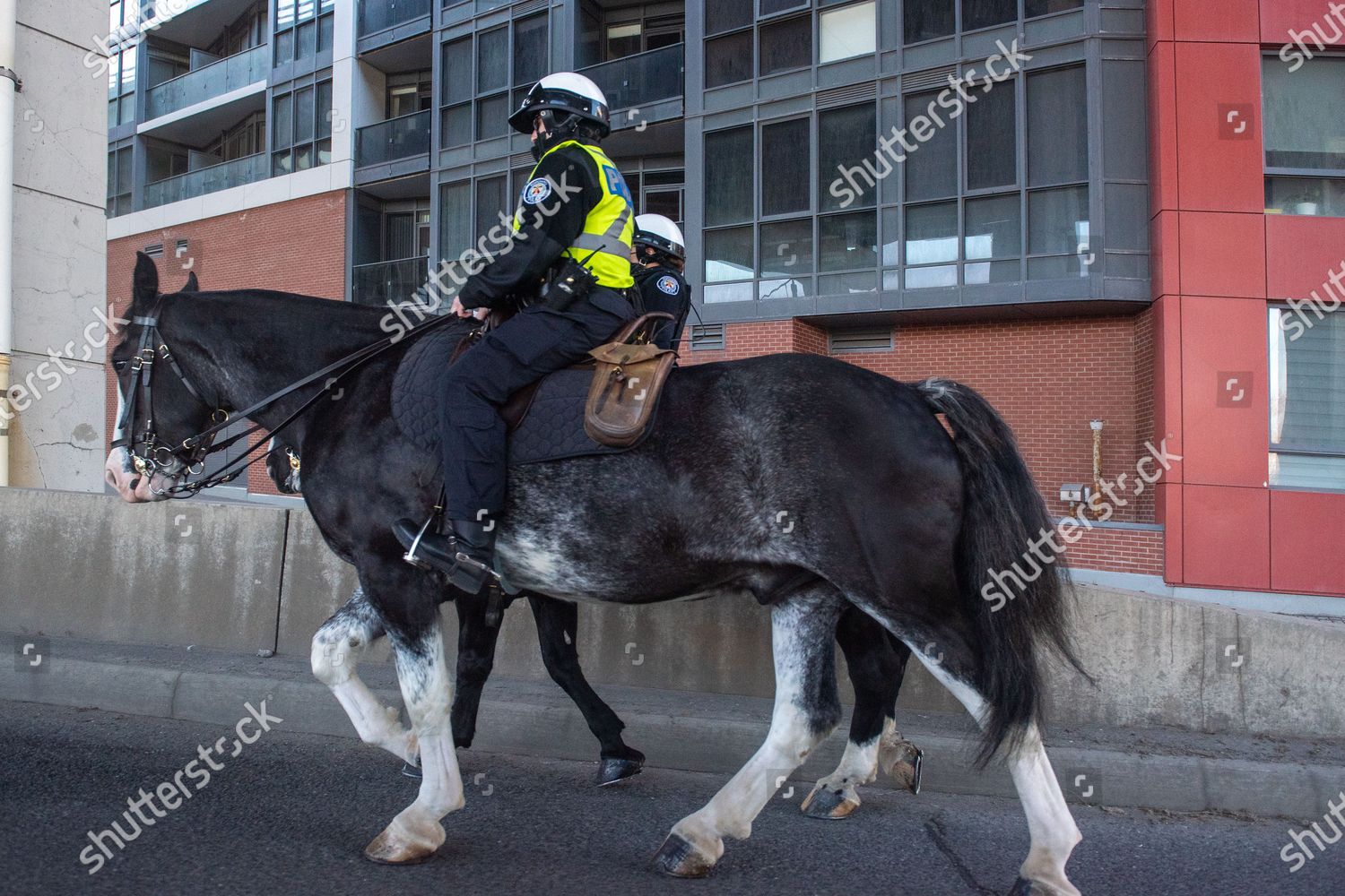 Toronto Mounted Police Vicinity Bathurst Street Editorial Stock Photo ... Toronto Mounted Police Vicinity Bathurst Street Editorial Stock Photo ...
