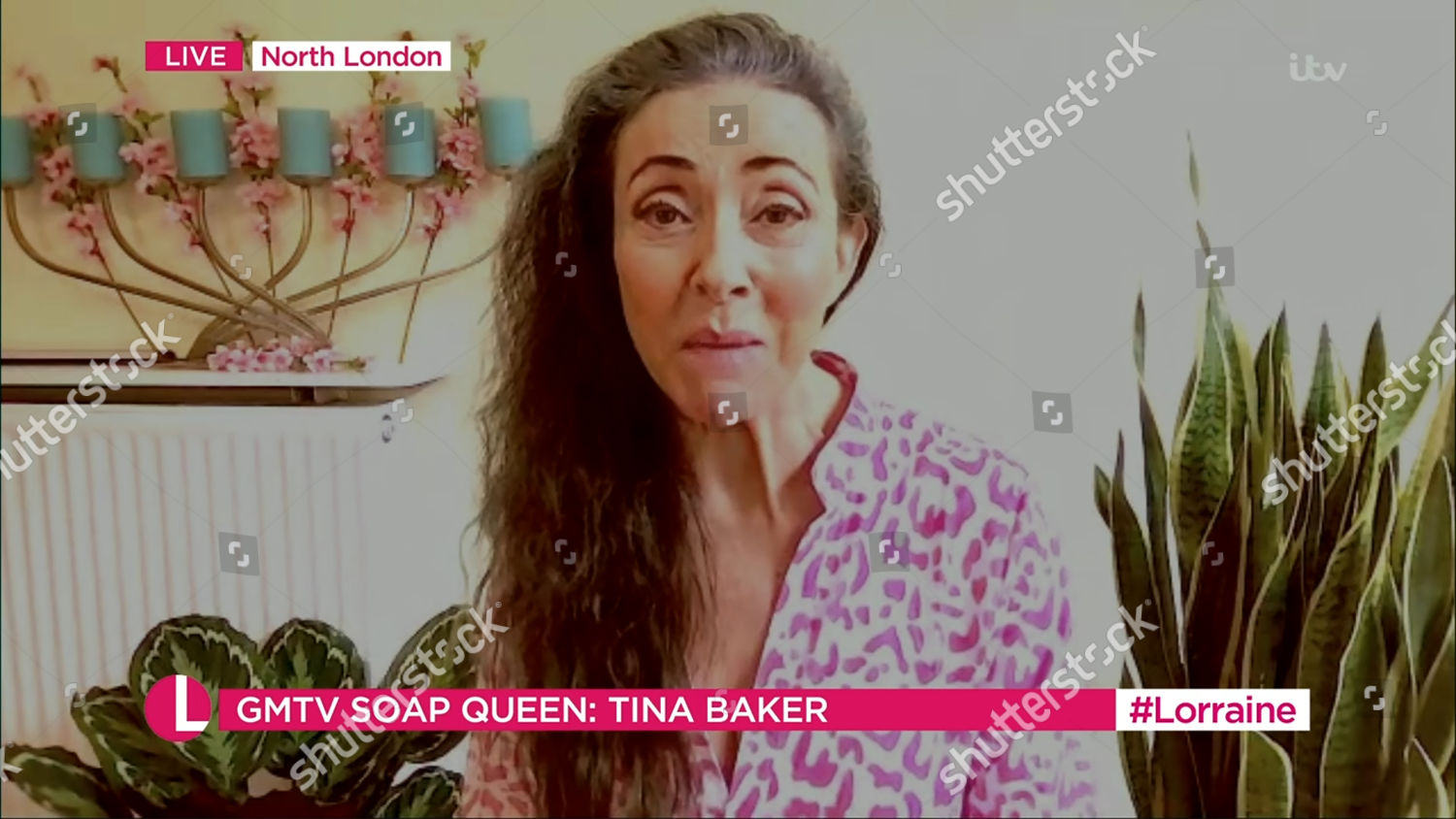 Tina Baker Editorial Stock Photo - Stock Image | Shutterstock