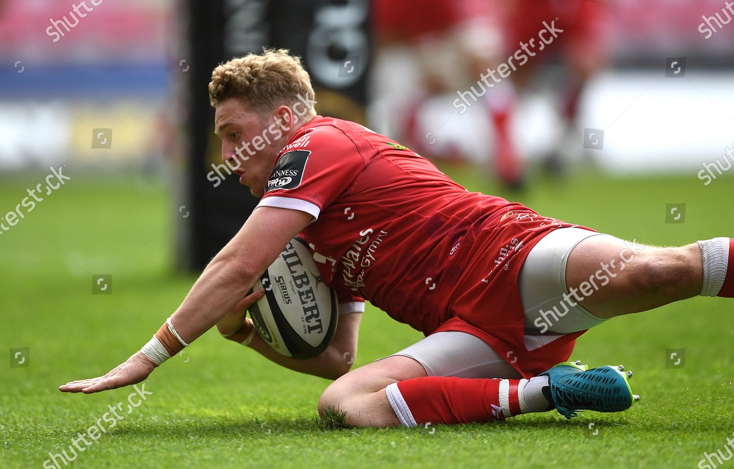 Angus Obrien Scarlets Scores Try Editorial Stock Photo - Stock Image ...