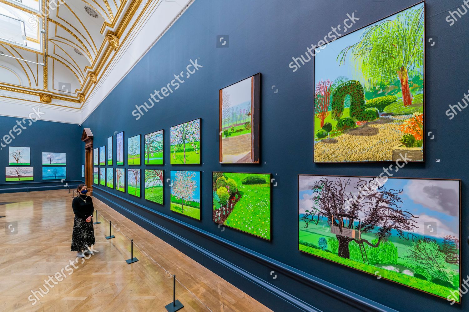 DAVID HOCKNEY ARRIVAL SPRING NORMANDY 2020 Editorial Stock Photo ...