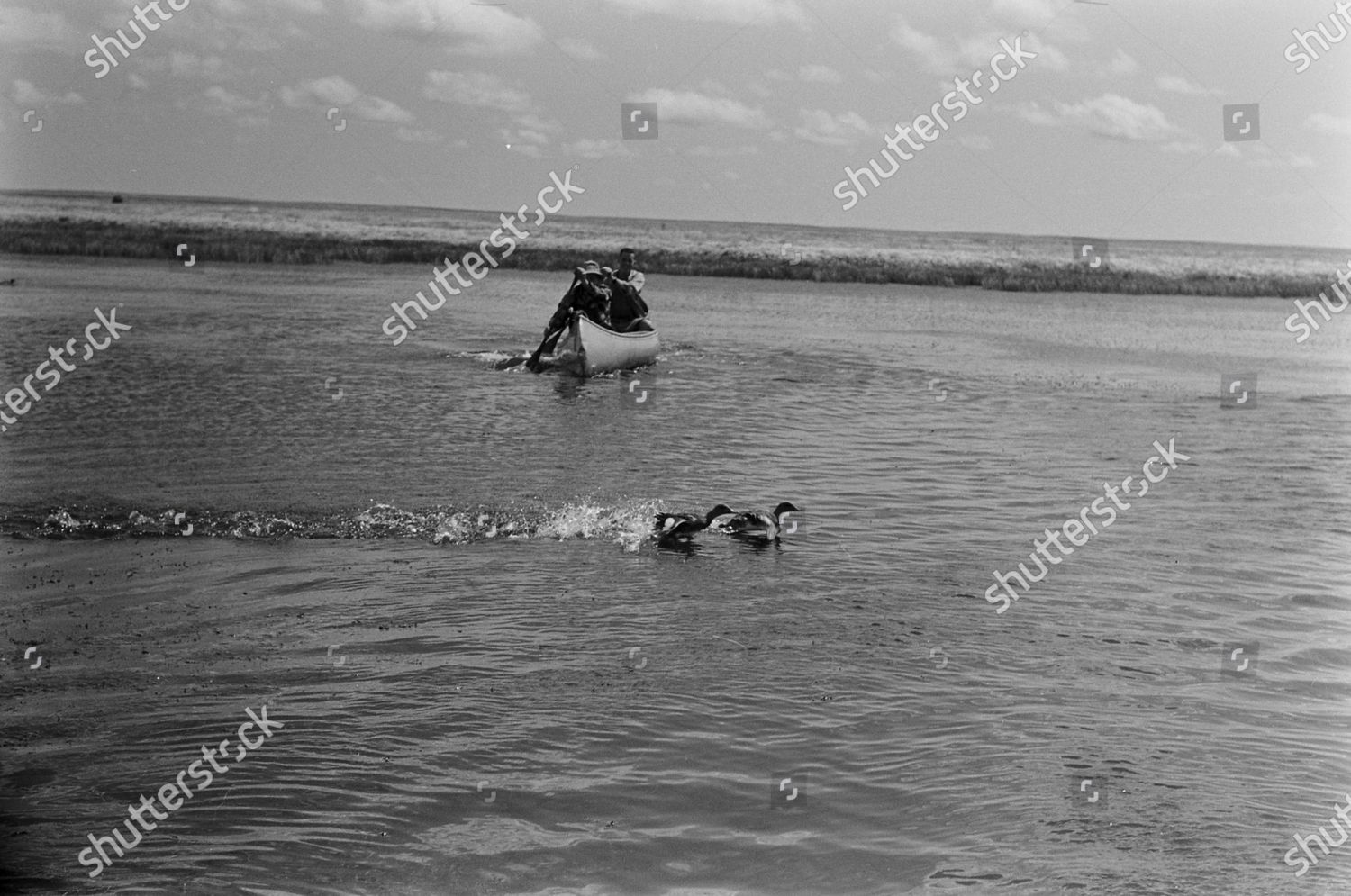 Members Ducks Unlimited Rowing Boat United Editorial Stock Photo ...