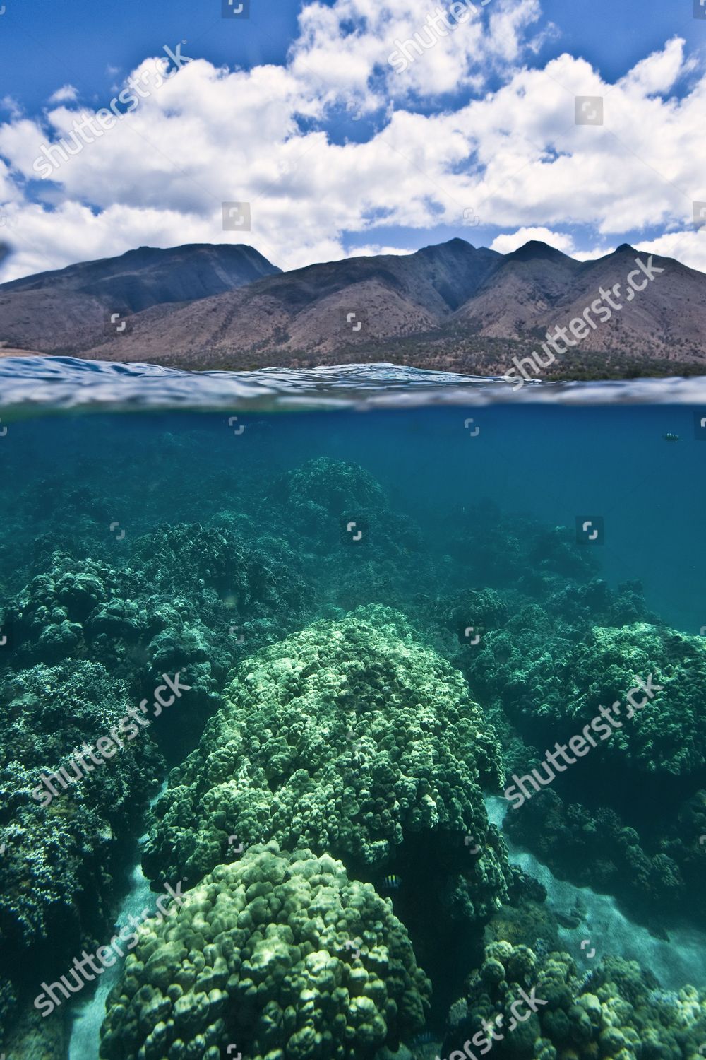 Half Undewater Half Above Water View Editorial Stock Photo - Stock ...