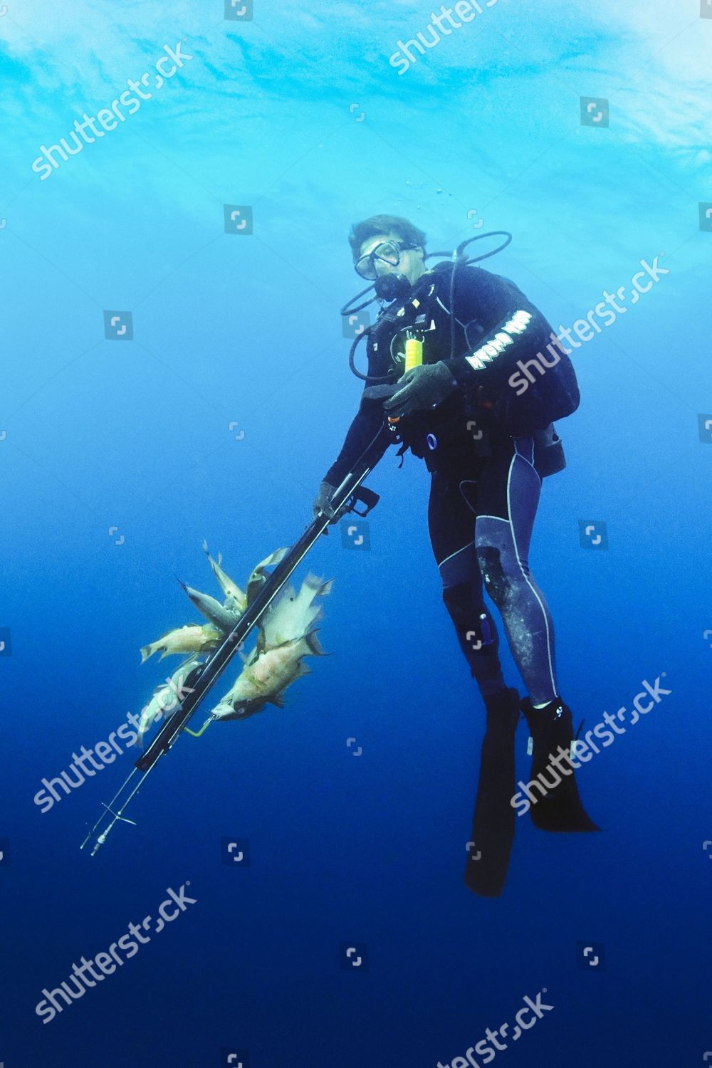 Spearfisherman Good Catches Using Powerheads Bang Editorial Stock Photo ...