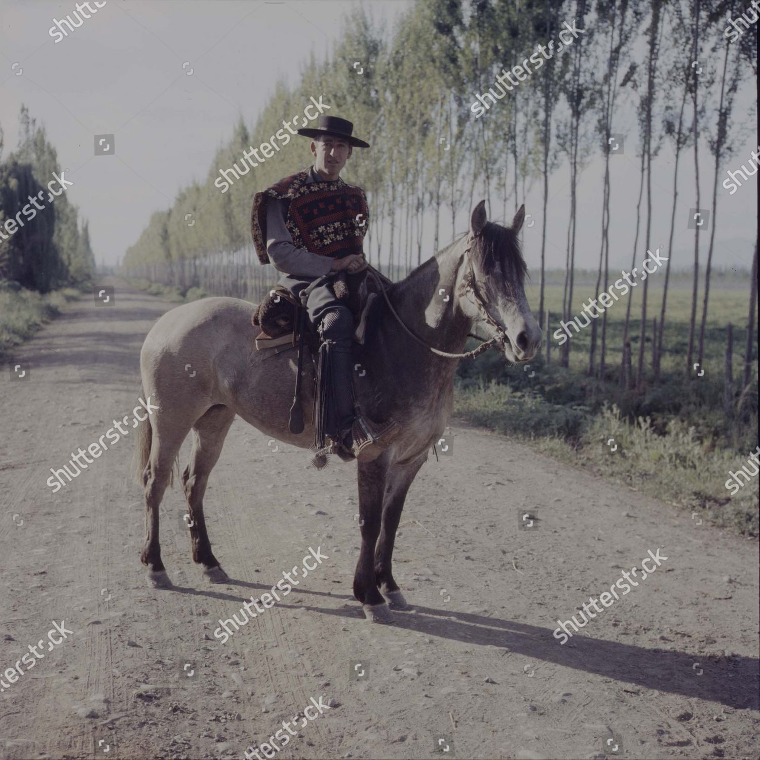 Chilean Cowboy Called Guacho Riding Horse Editorial Stock Photo - Stock ...