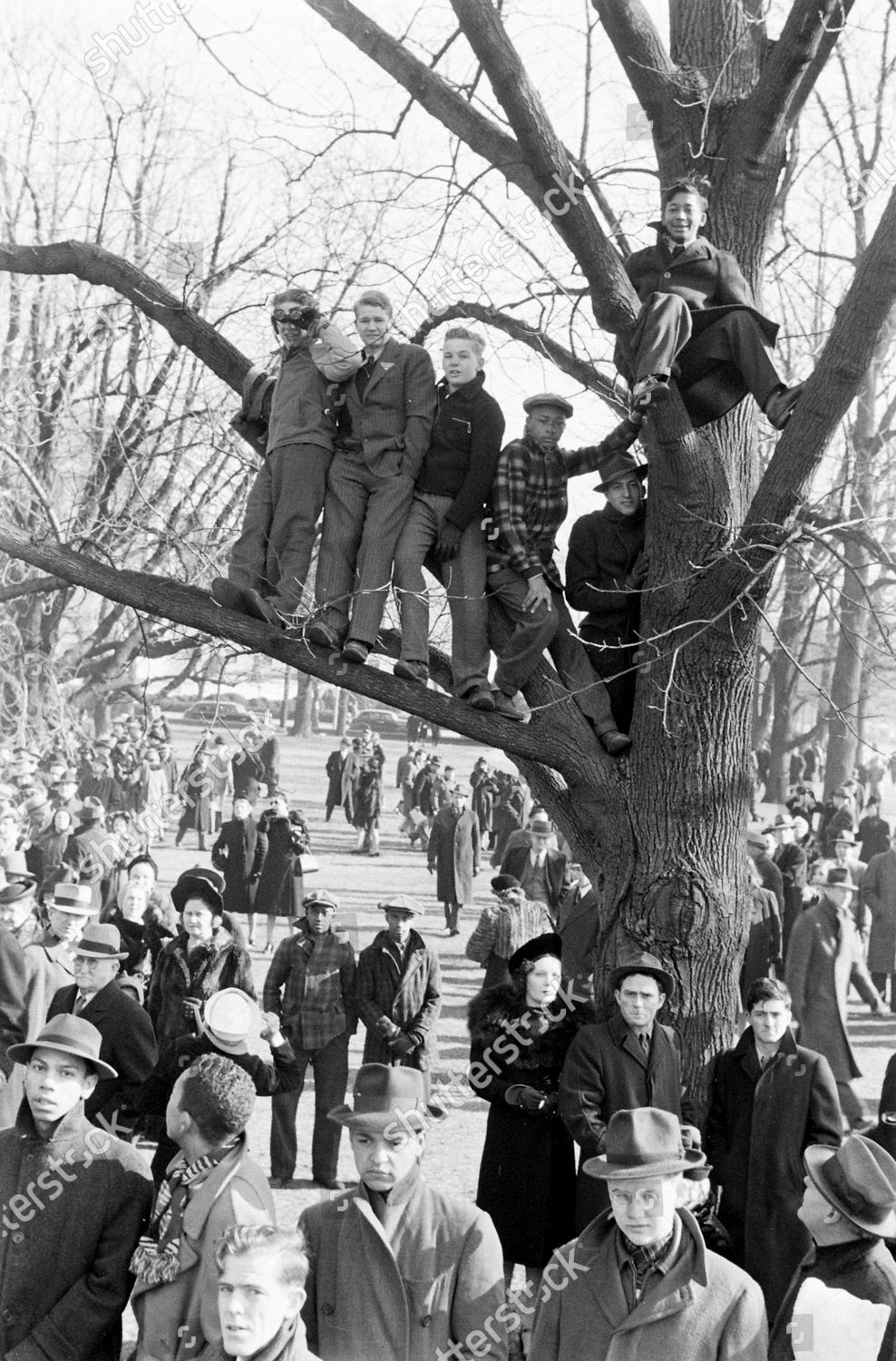 Boys Climbing On Tree During President Editorial Stock Photo - Stock ...