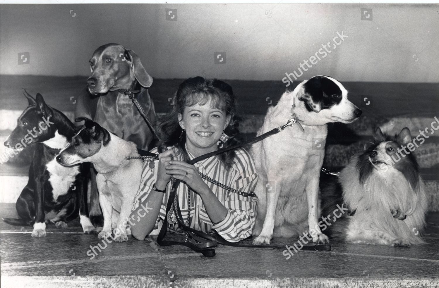 Daryl Back Actress Who Plays Blind Editorial Stock Photo - Stock Image ...