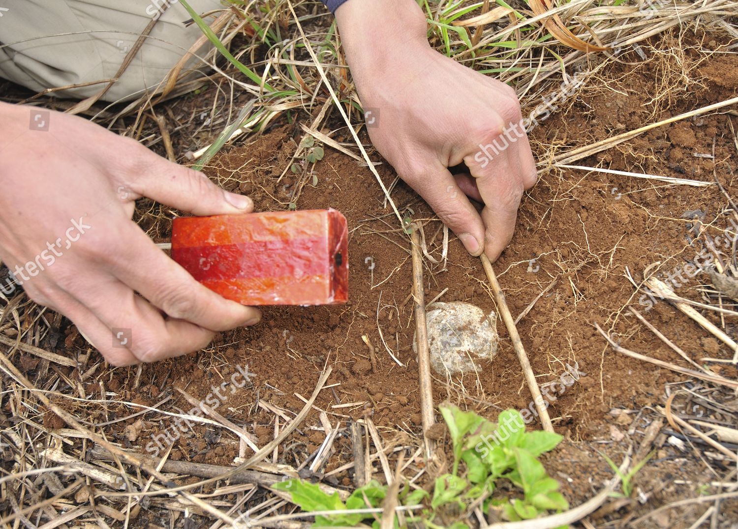 Uncovering Unexploded Landmine Editorial Stock Photo - Stock Image ...