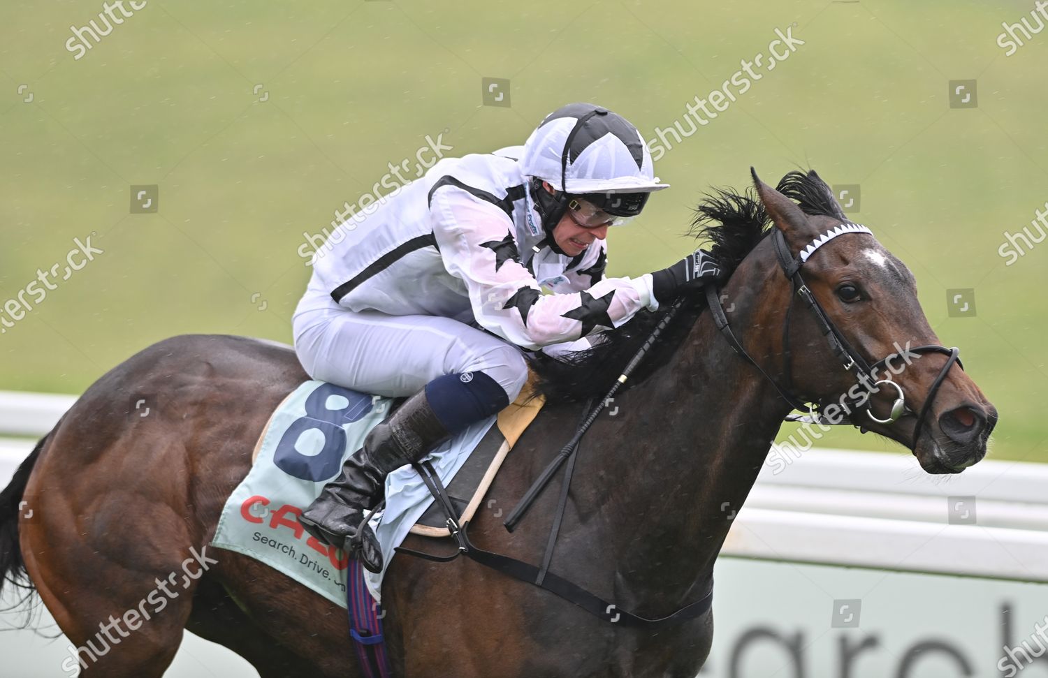 Oscula Mark Crehan Wins Cazoo Woodcote Editorial Stock Photo - Stock ...