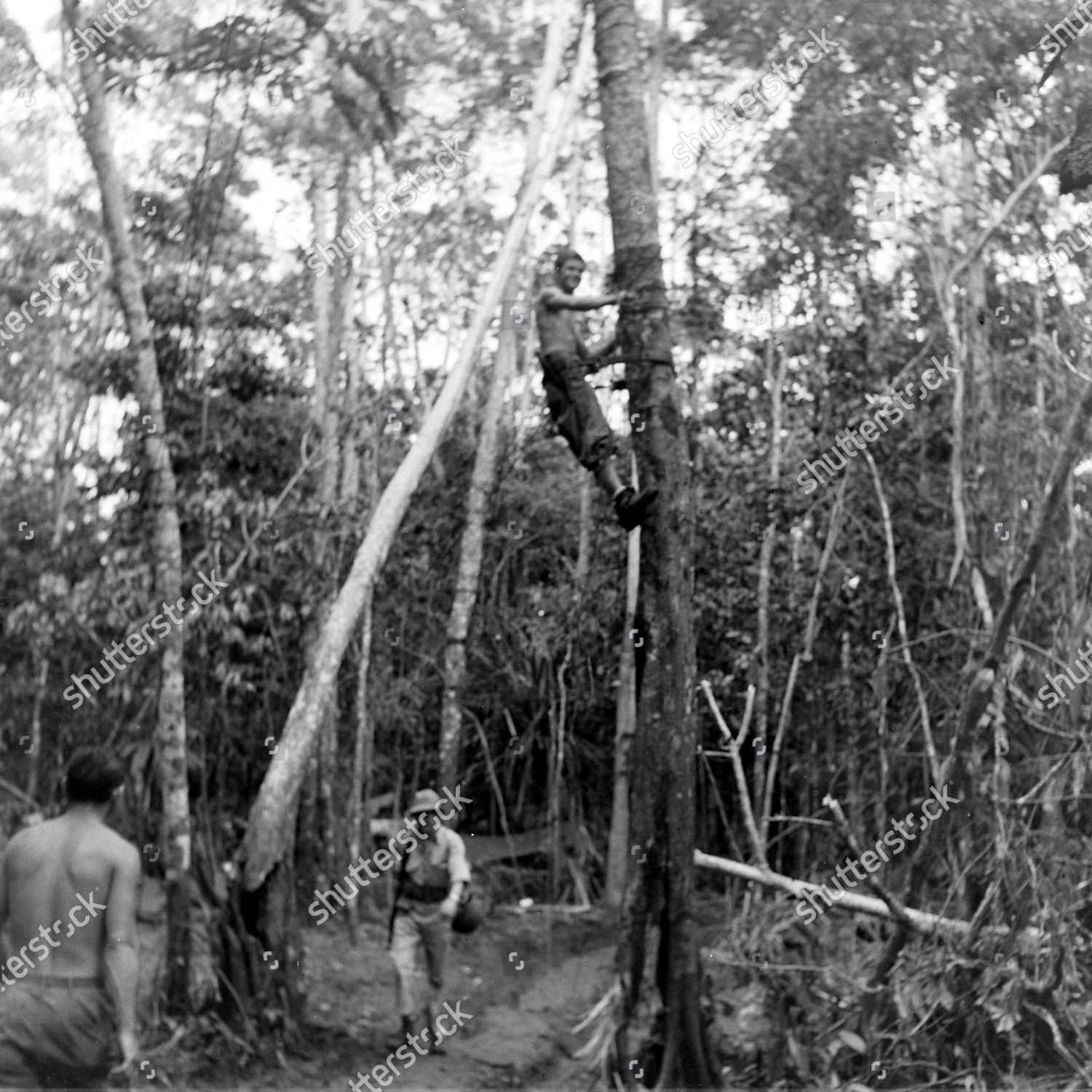 Soldiers Patrolling Jungle During World War Editorial Stock Photo ...