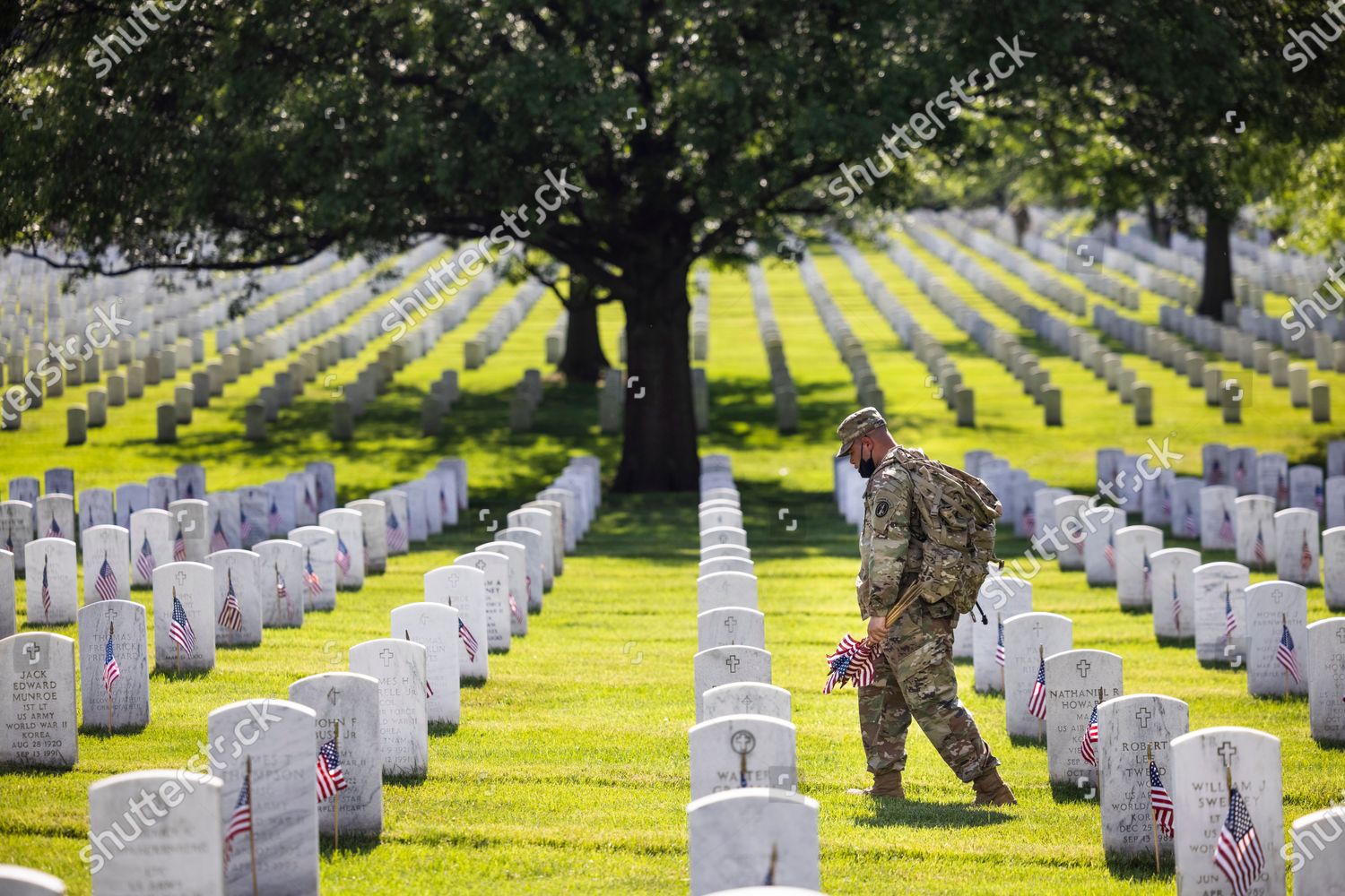 Service Members Place Small American Flags Editorial Stock Photo service-members-place-small-american-flags-editorial-stock-photo