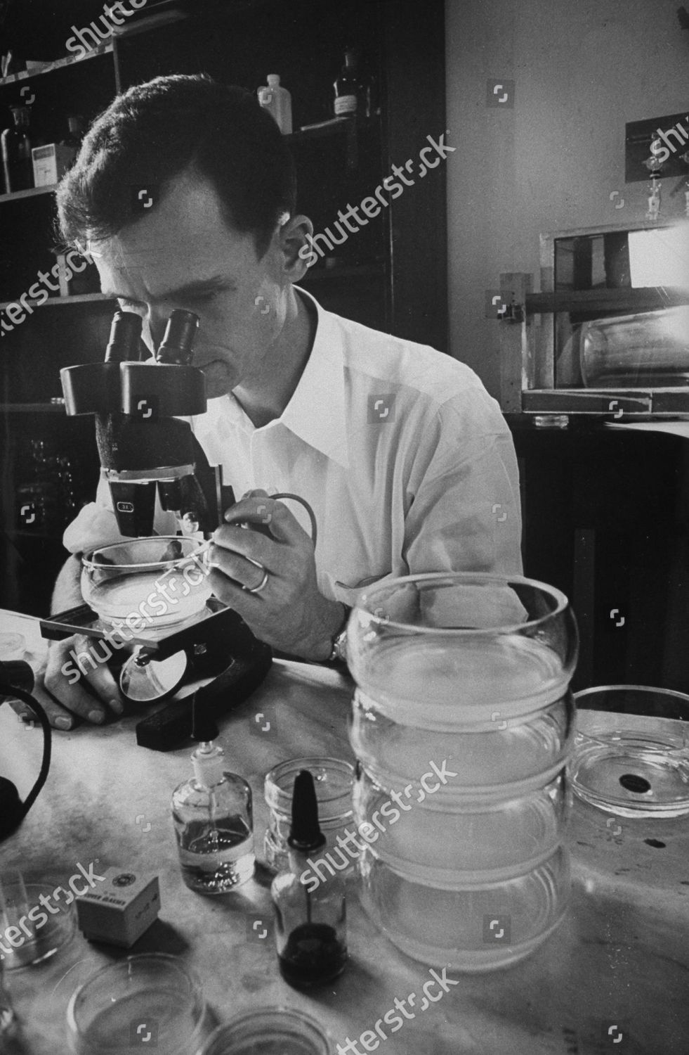 Biologist David Prescott Performing Experiments On Editorial Stock ...