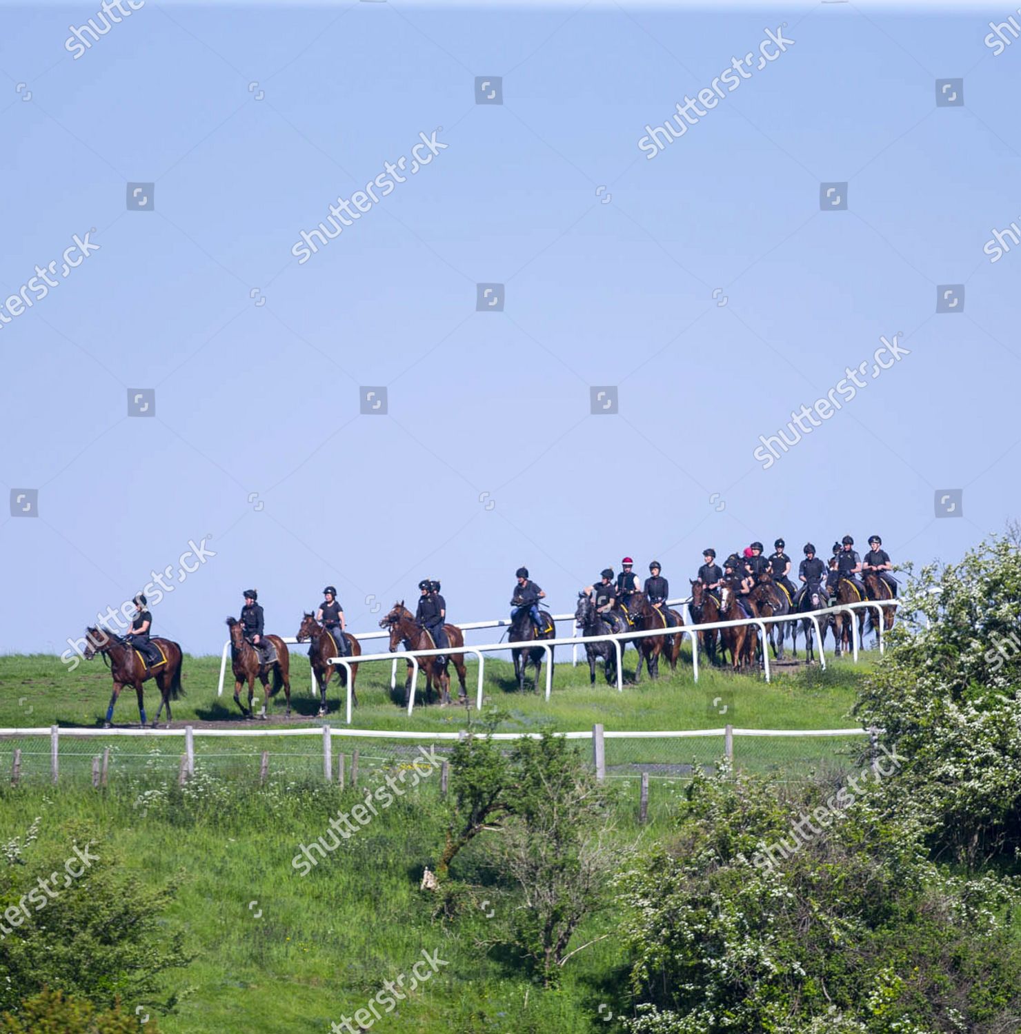 Races Horses Park House Stables Kingsclere Editorial Stock Photo ...