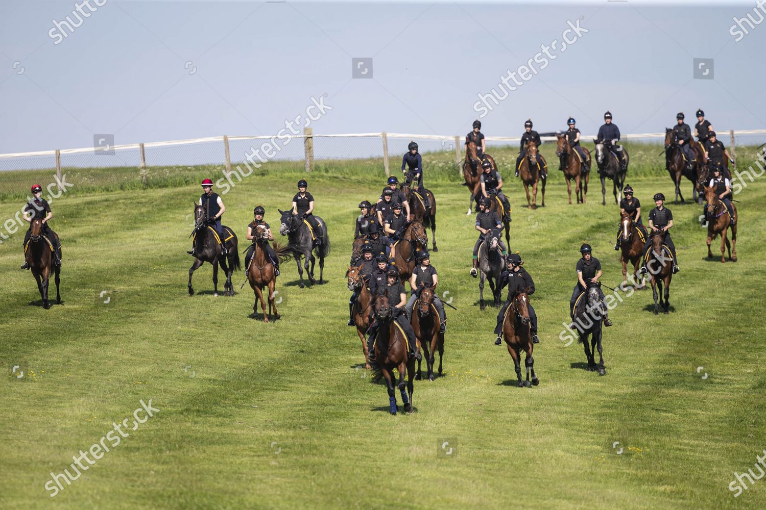 Races Horses Park House Stables Kingsclere Editorial Stock Photo ...