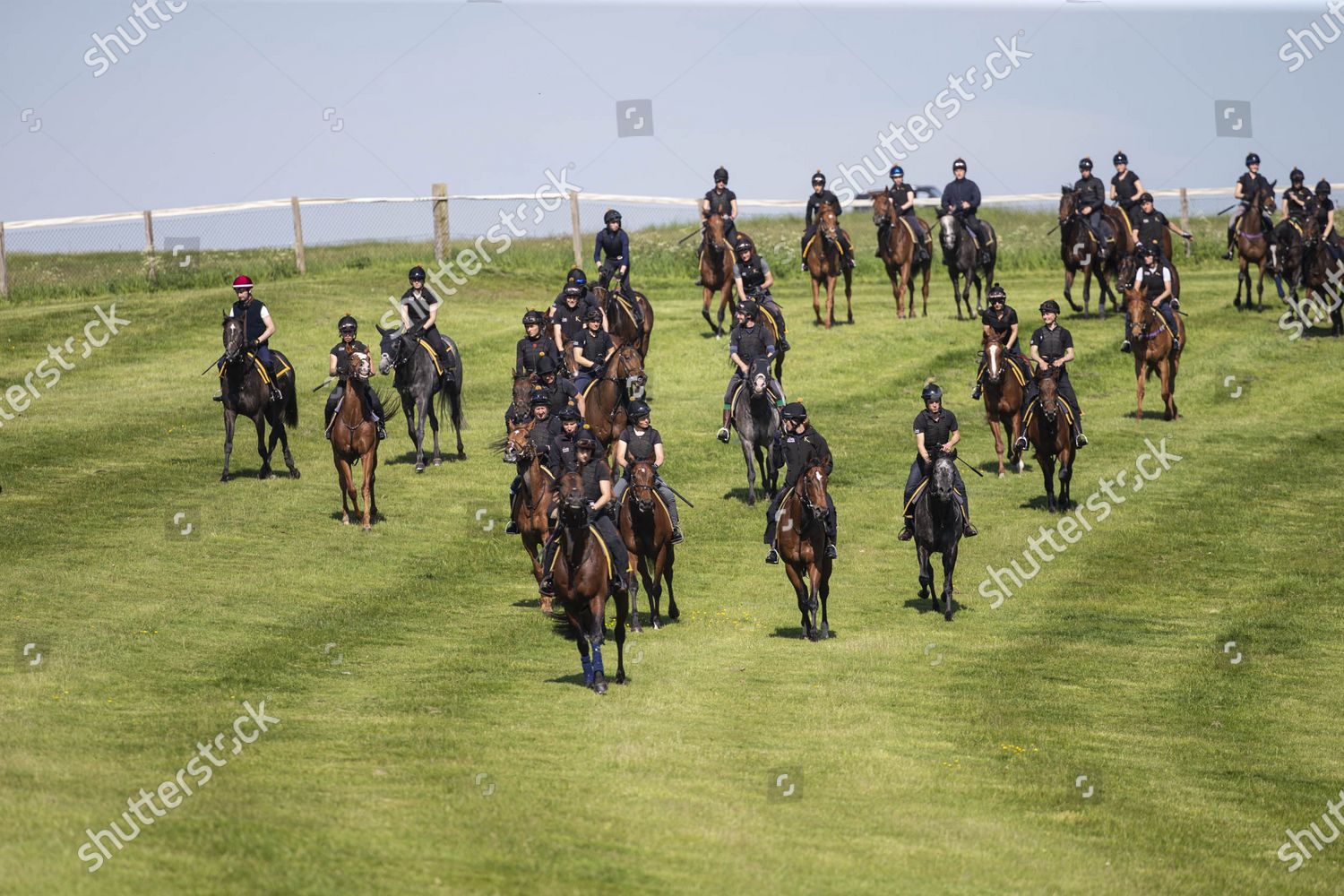 Races Horses Park House Stables Kingsclere Editorial Stock Photo ...
